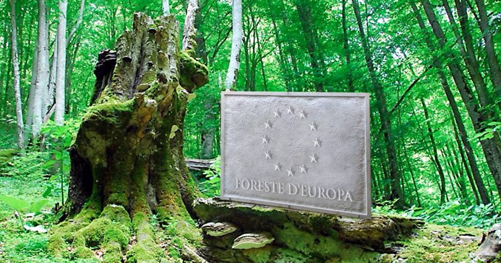 LE FORESTE EUROPEE. PATRIMONIO NATURALE E FONTI GENERATRICI DI TURISMO ...
